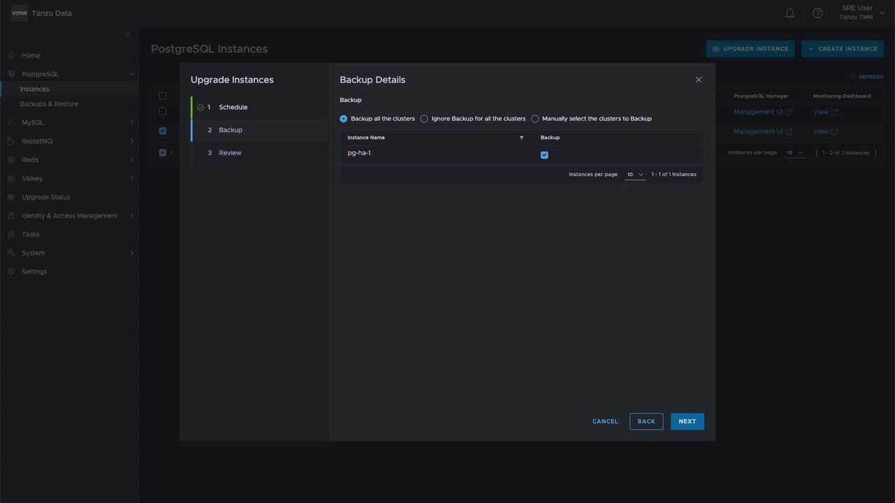 Tanzu Data Management Console – Feature Overview – virtual graveyard