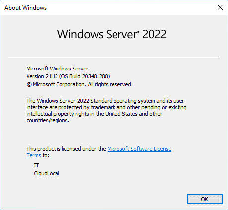 VMware Windows Server 2022 Template Best Practices – virtual graveyard