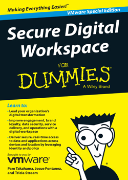 Secure Digital Workspace For Dummies – virtual graveyard