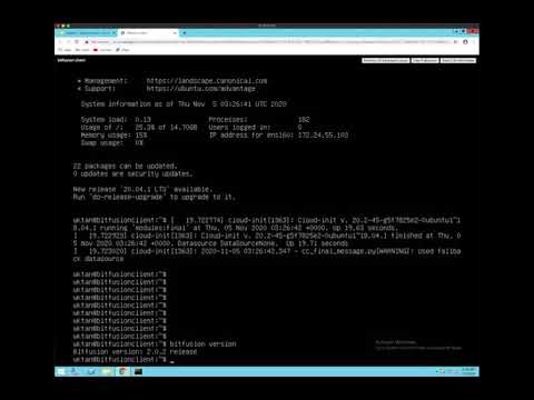 vSphere Bitfusion Client Setup Overview | JPerformer_blog_site